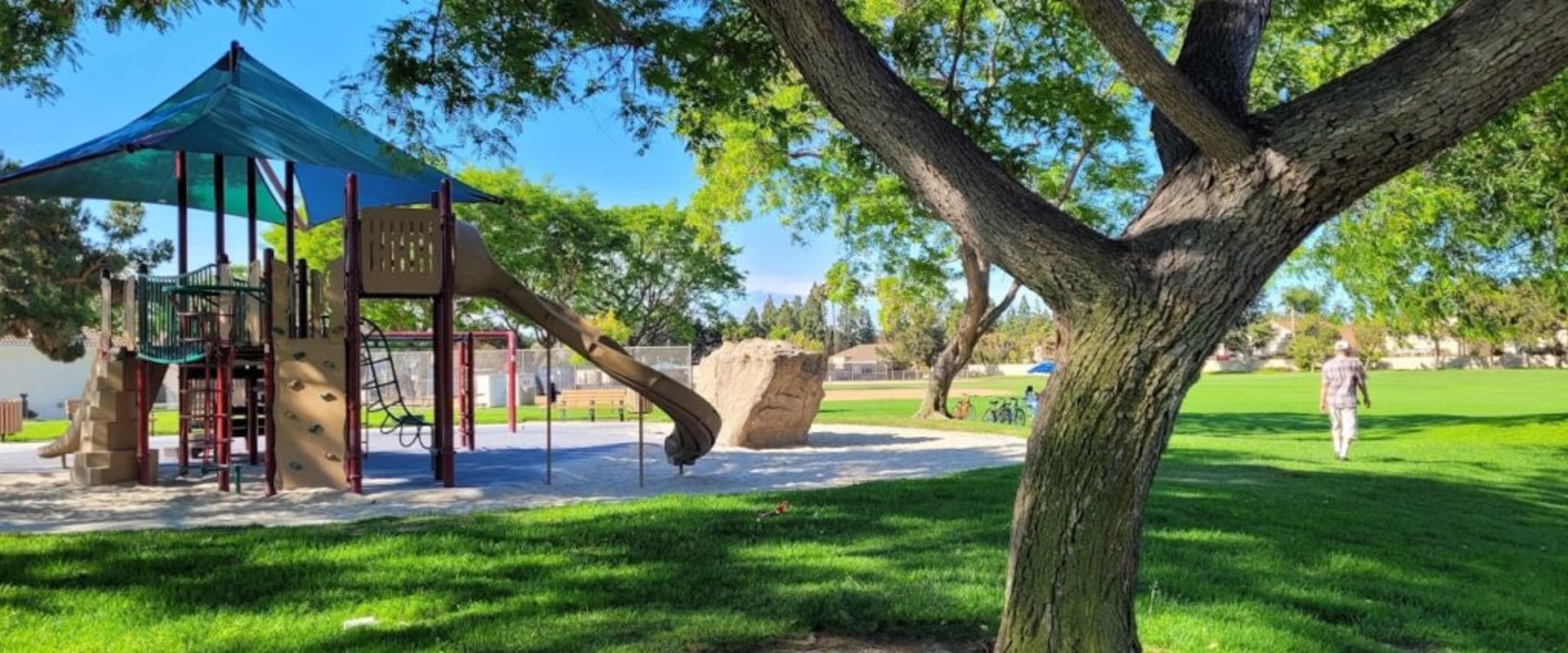 Exploring the Natural Wonders of Irvine, California