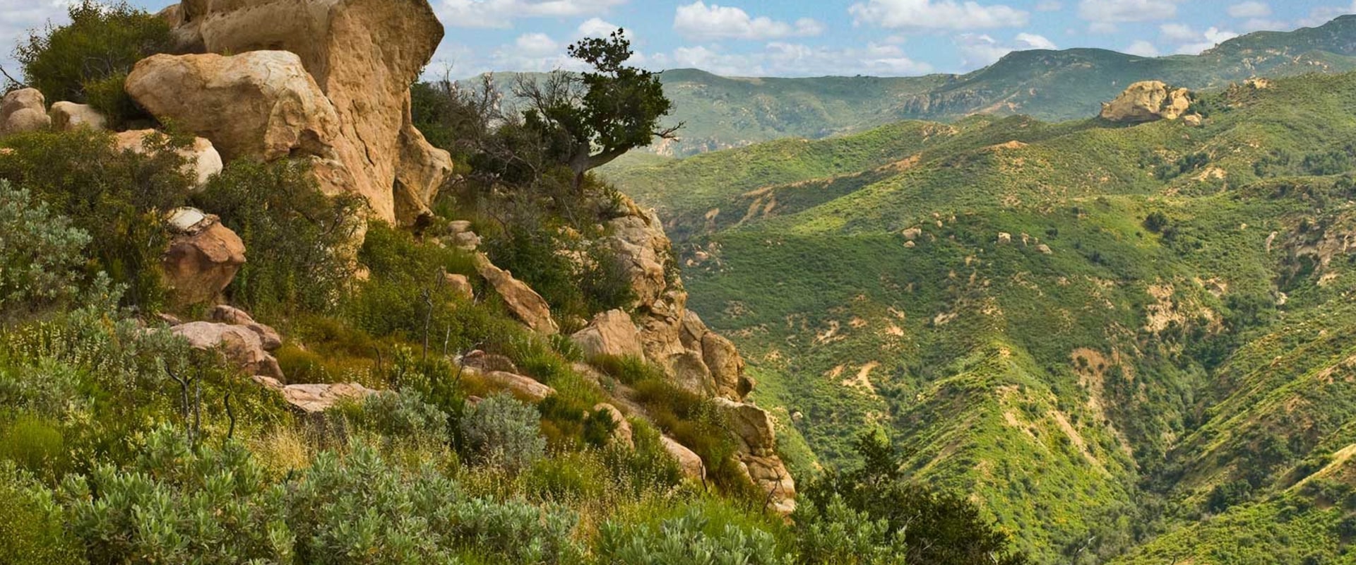 What is the Elevation of Mount Irvine in Irvine, California?